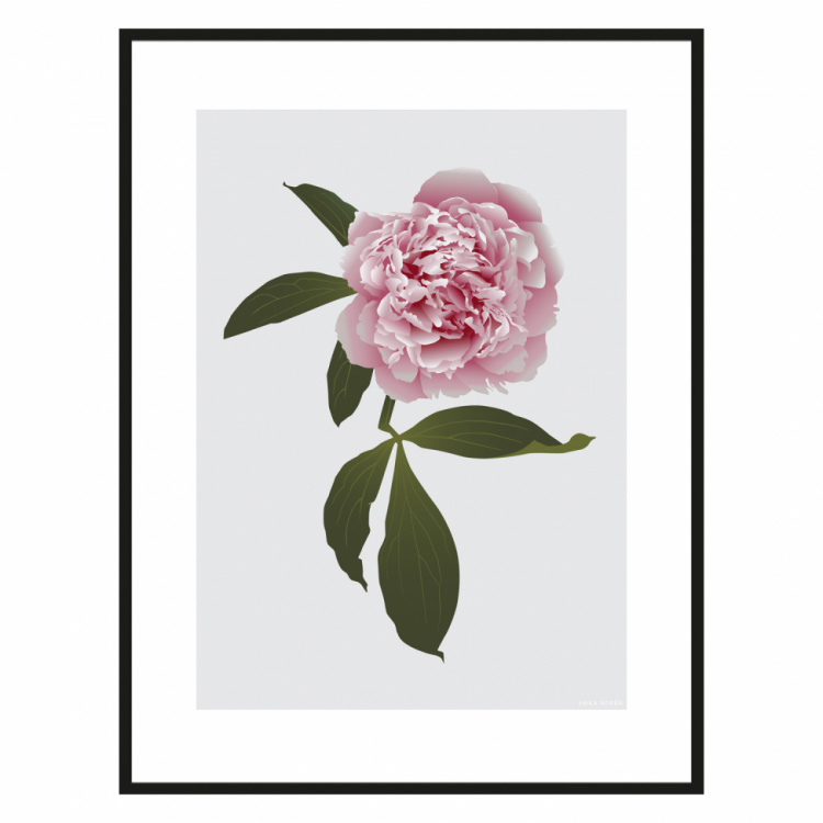 Poster 'Pion' - 30x40 - Köp hos Reforma