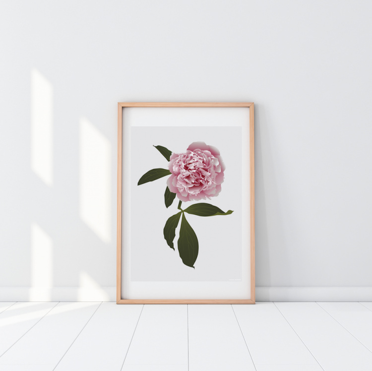 Poster 'Pion' - 30x40 - Köp hos Reforma