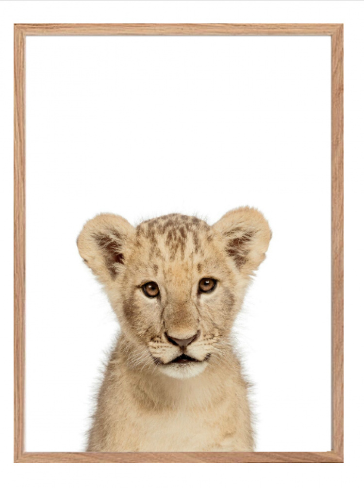 Canvas Poster - Lejon - Köp möbler och inredning på Reforma Sthlm