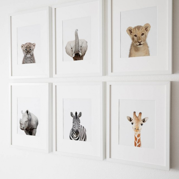 Canvas Poster - Lejon - Köp möbler och inredning på Reforma Sthlm